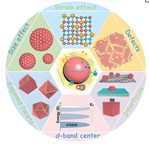 Polyester vs Polyamide: Expert-Level Guide