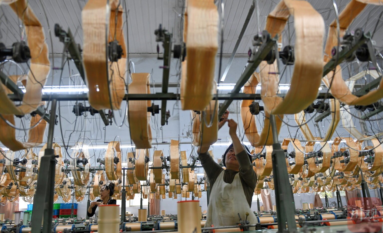 How is Silk Produced? Step-by-Step Guide from Cocoon to Fabric