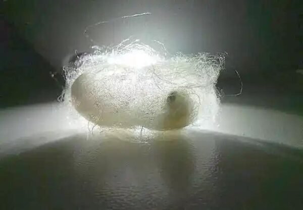 How is Silk Produced? Step-by-Step Guide from Cocoon to Fabric