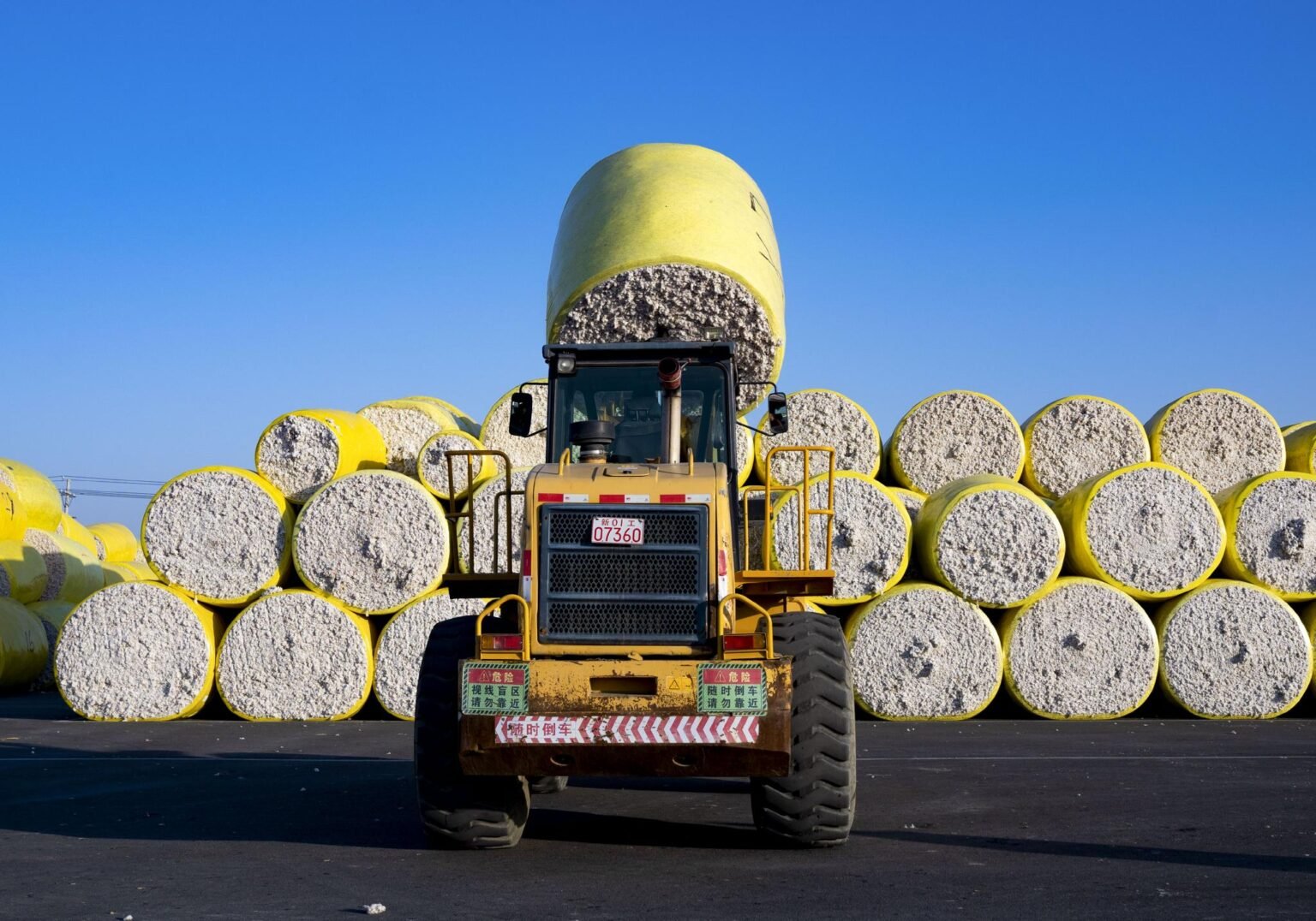 What Is the Highest Grade of Cotton? Top Varieties Compared