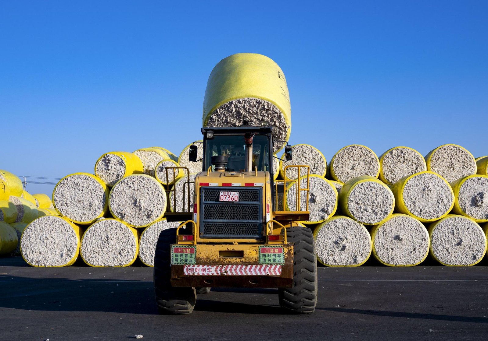 What Is the Highest Grade of Cotton? Top Varieties Compared